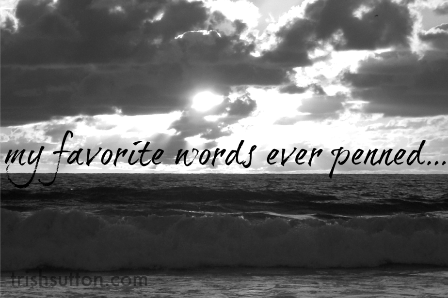 My Most Favorite Words Ever Penned | Our Engagement Story