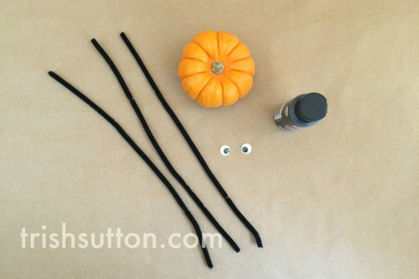 Long Legged Pumpkin Spider | Cute Halloween Decor