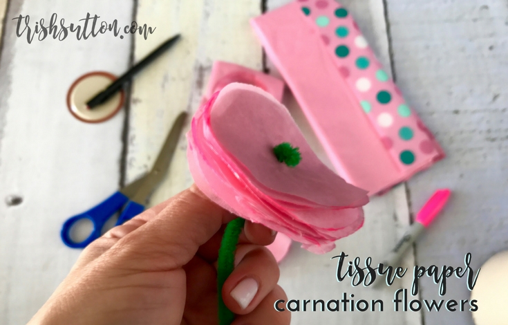 Tissue Paper Carnation Flowers; Make Her Mother's Day