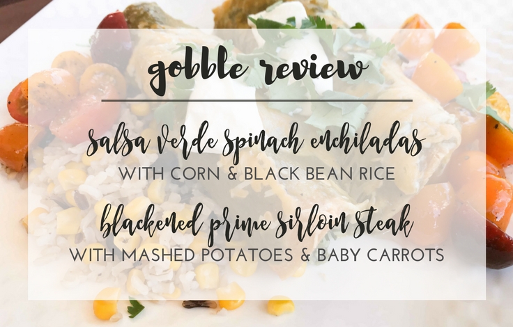 Gobble Meal Subscription Box Review {$50.00 Off Week One}