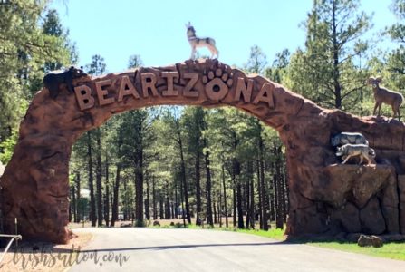 Bearizona Wildlife Park Northern Arizona | TrishSutton.com