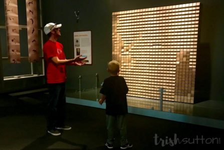 Perot Museum of Nature and Science Dallas World's Largest Dinosaurs