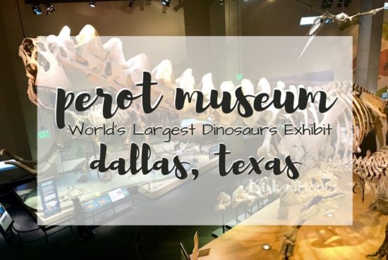 Perot Museum of Nature and Science Dallas World's Largest Dinosaurs