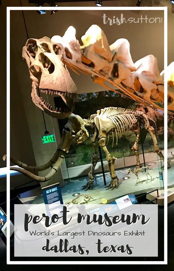 Perot Museum of Nature and Science Dallas World's Largest Dinosaurs